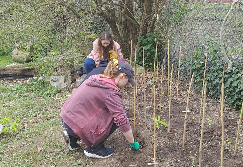 Students plant trees for the Big Climate Fightback | University for the ...